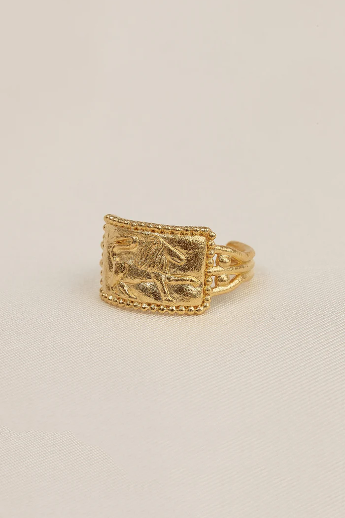 Arielle Gold Ring – ANDREA & JOEN